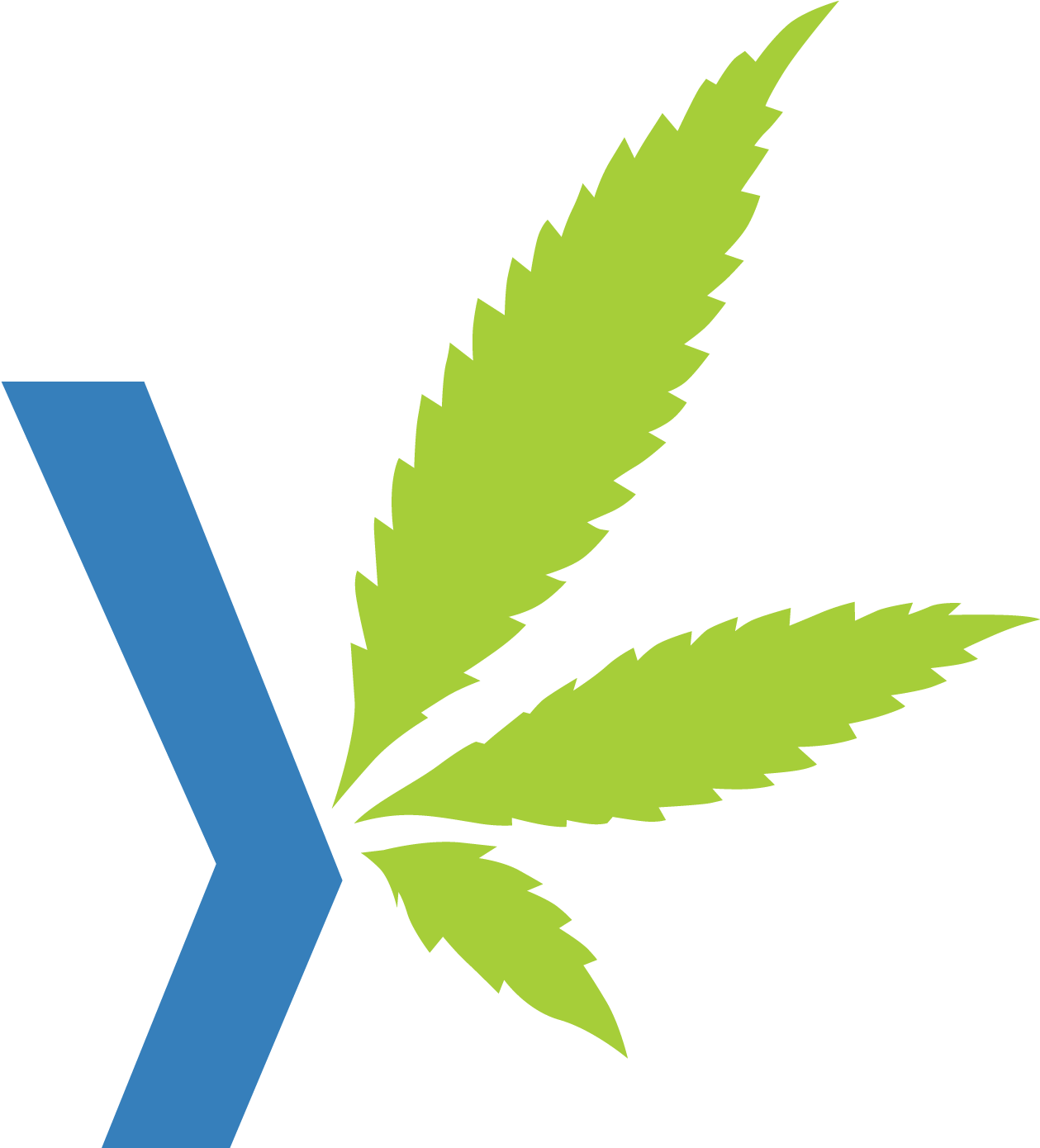 Download Duby Weed Y Logo In Color - Duby Logo - Full Size PNG Image ...