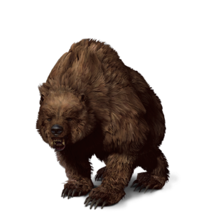 Download Witcher Wiki - Bear The Witcher 3 - Full Size PNG Image - PNGkit