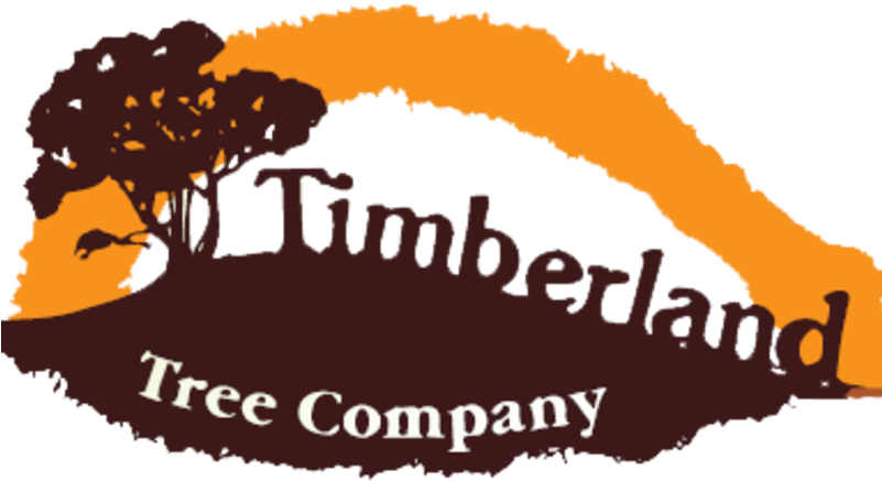 Download Timberland Tree Company - Full Size PNG Image - PNGkit