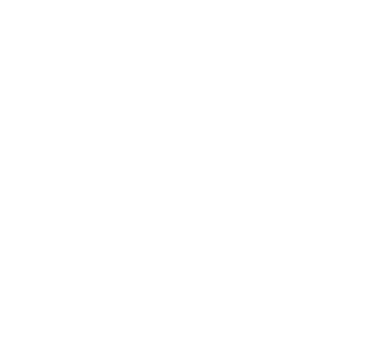 Download Conclave - Twitter Bird White Transparent - Full Size PNG ...