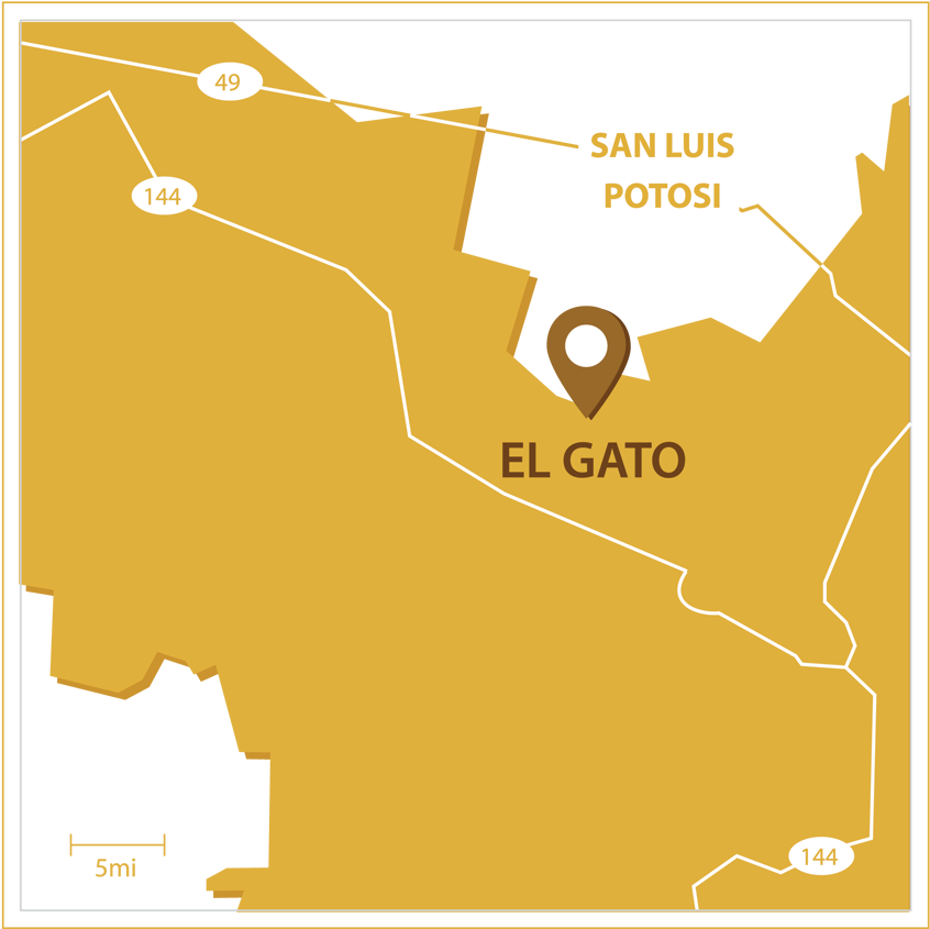 Download El Gato Project - Map - Full Size PNG Image - PNGkit