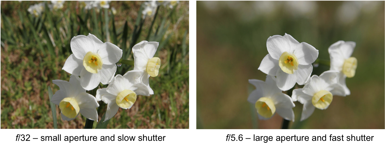 Download Figure 3, Photographs Of An Object Taken With Different - F ...