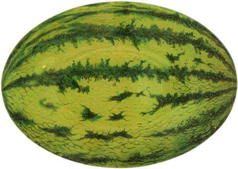 Download Watermelon Watermelon - Objects With Oblong Shape - Full Size ...