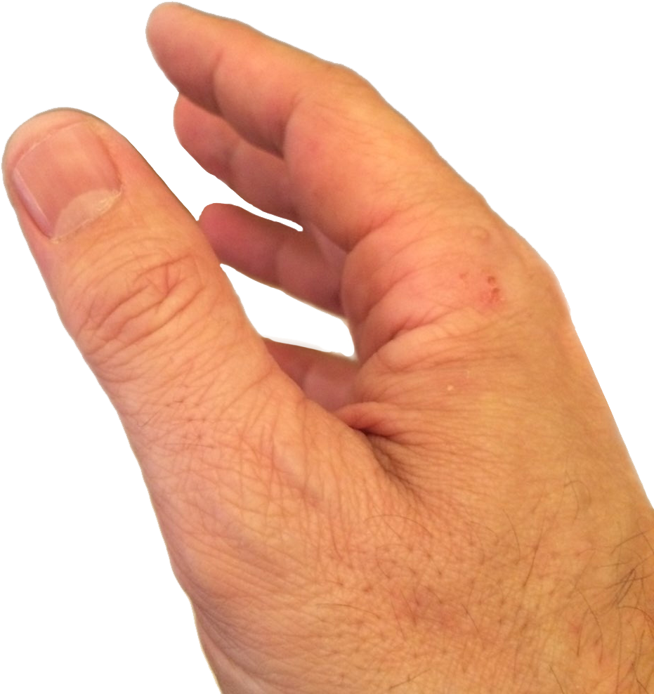Download Hey, Followers, Here's A Png Of Scott Walker's Hand - Sign ...