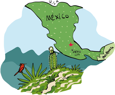 Download Mexico's Cloud And Temperate Forest Reserve Situated - Forest ...