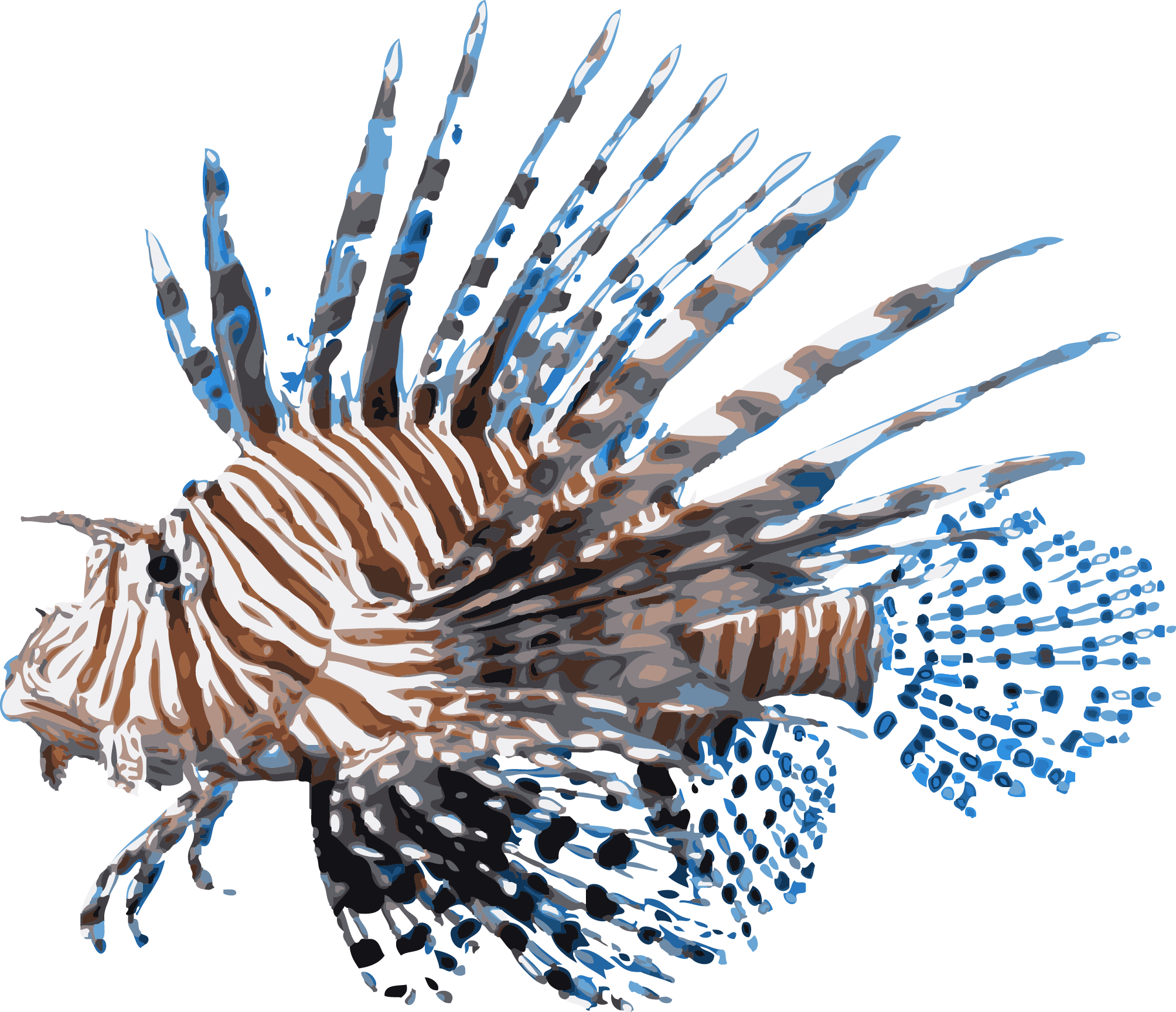 Download Rykaczewski Lionfish - Red Lionfish Png - Full Size PNG Image ...