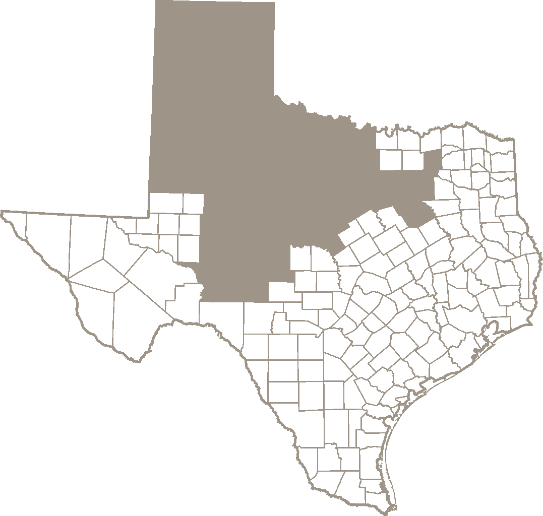 Download Texas Districts - Anderson County Texas - Full Size PNG Image ...