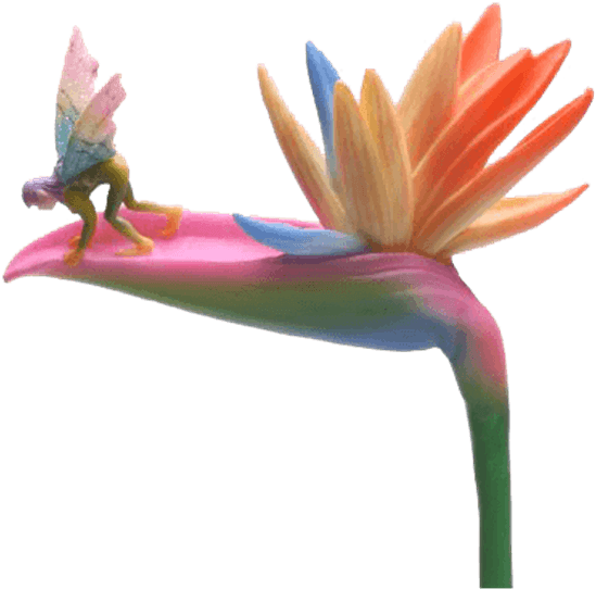 Download Bird Of Paradise Stem Flitty Fairy Flower - Stem Flitty - Bird ...