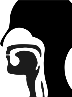 Download Face Infographics - Ear Nose And Throat Vector - Full Size PNG ...