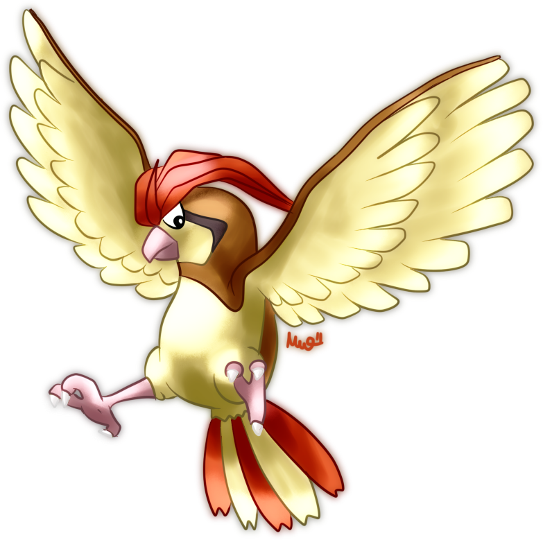 Download Image - Pidgeotto - Full Size PNG Image - PNGkit