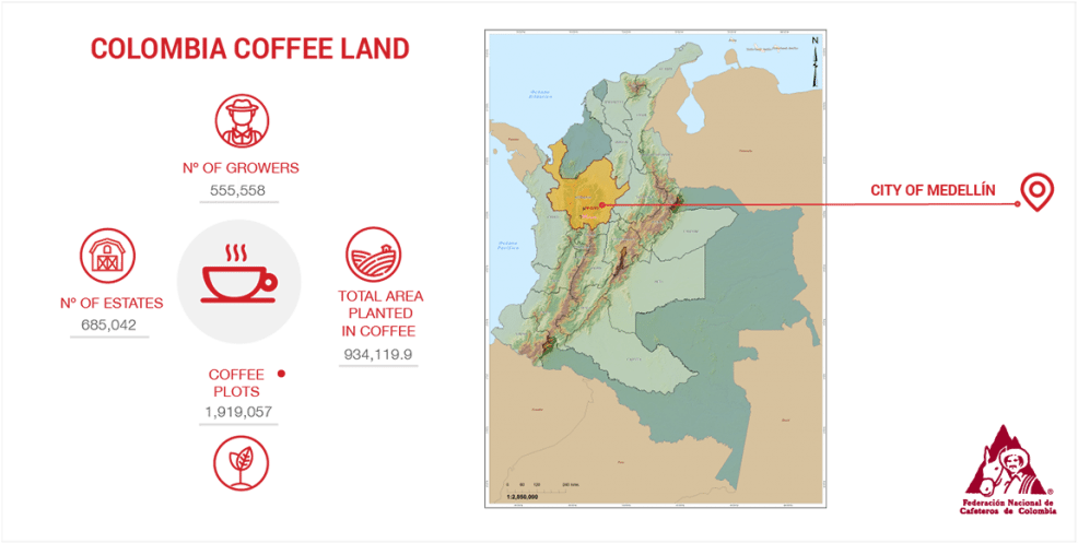 Download Stats About Coffee Production In Colombia - Coffee Grown In ...