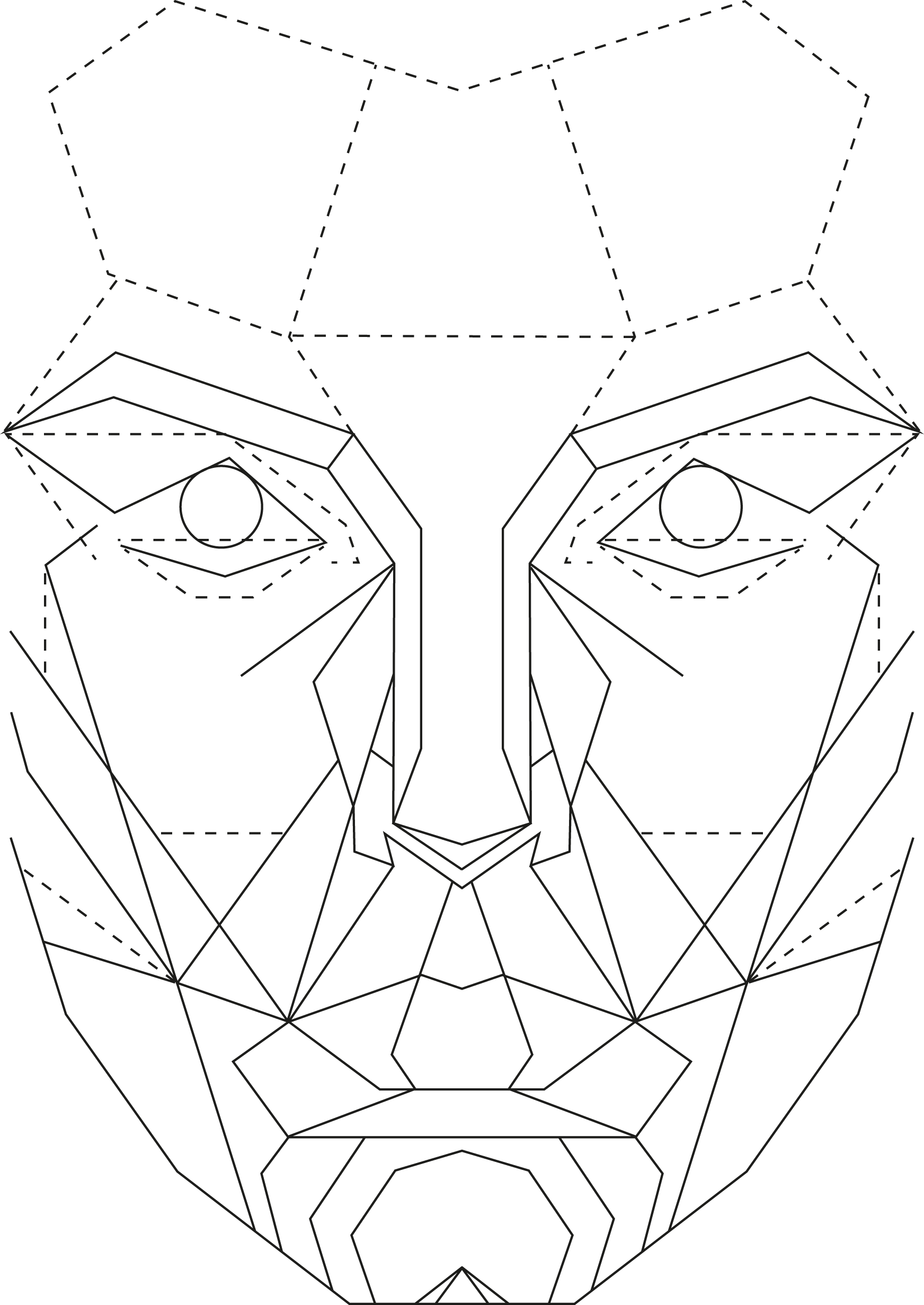 Perfect Face Template Transparent Background For Procreate