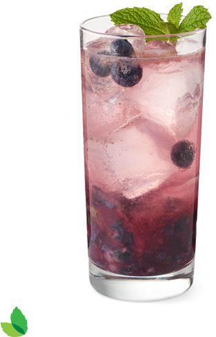 Download Blueberry Mojito Png - Full Size PNG Image - PNGkit