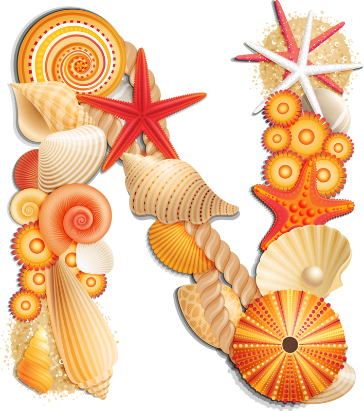 Download Alpha Orange Png Album - Alphabet Seashells Png - Full Size ...