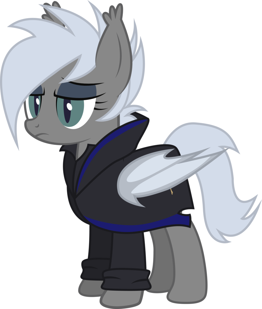 Download Duskthebatpack, Bat Pony, Clothes, Frown, Jacket, Oc, - Mlp Oc ...