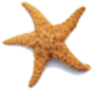 Download Star-blurred - Clip Art - Full Size PNG Image - PNGkit