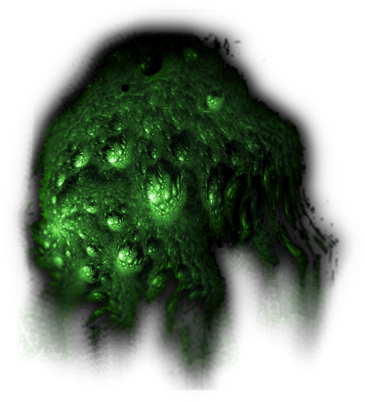 Download Green Ooze 01 - Grass - Full Size PNG Image - PNGkit