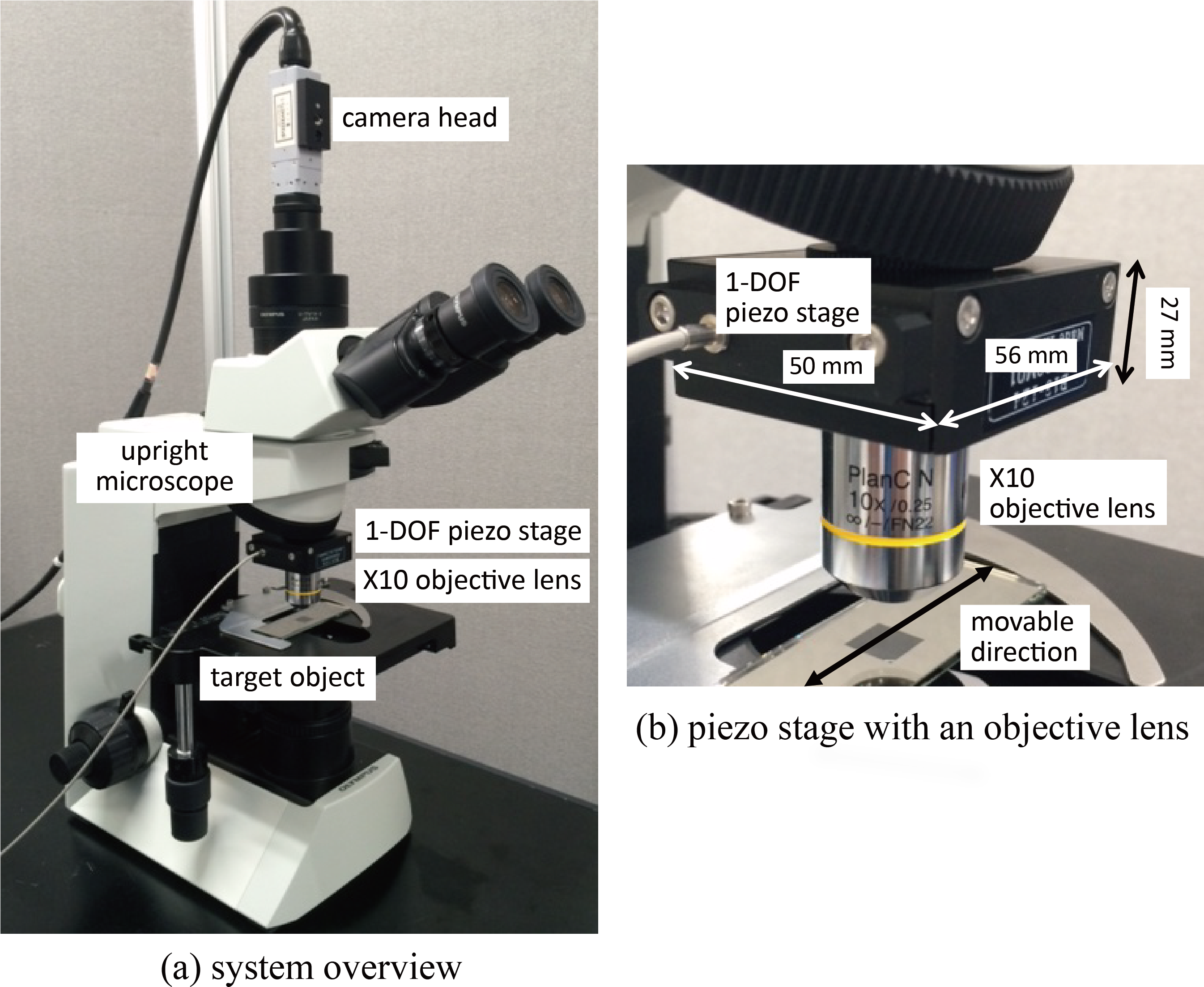 Download Motion Blur Free Microscope - Microscope - Full Size PNG Image ...