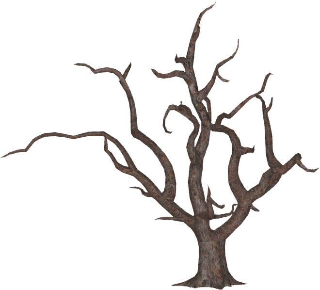 Download Dead Oak - Tree - Full Size PNG Image - PNGkit