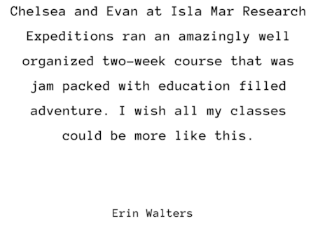 Download Trans - Full Size PNG Image - PNGkit