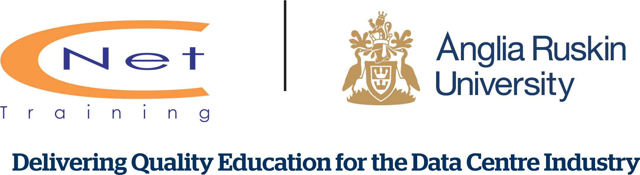 Download Cnet Aru Logo Colour - Anglia Ruskin University - Full Size ...