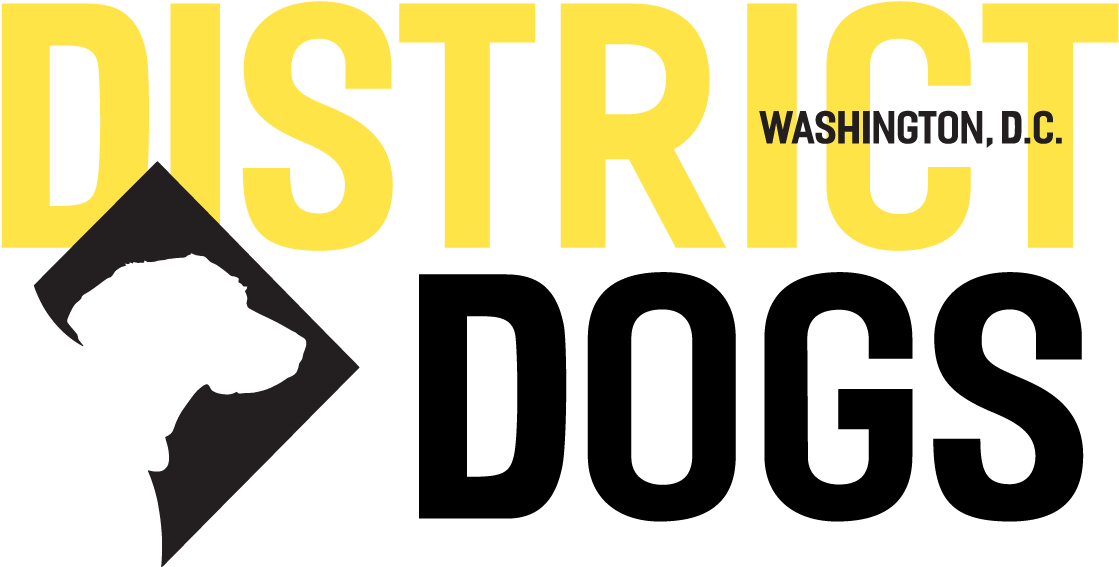 Download District Dog Logo - Heeton Holdings - Full Size PNG Image - PNGkit