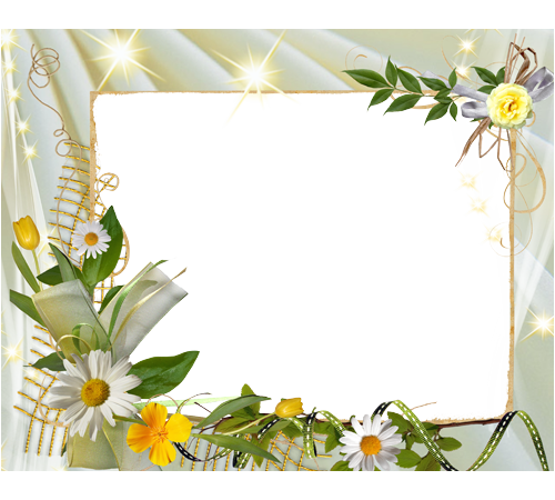 Download Your Photo Photo Frame - Beautiful Frame - Full Size PNG Image ...