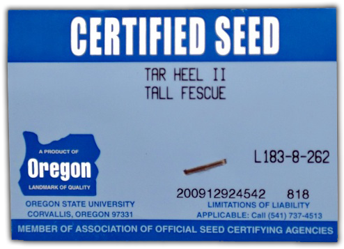 Download Seed Classes And Their Tags - Full Size PNG Image - PNGkit