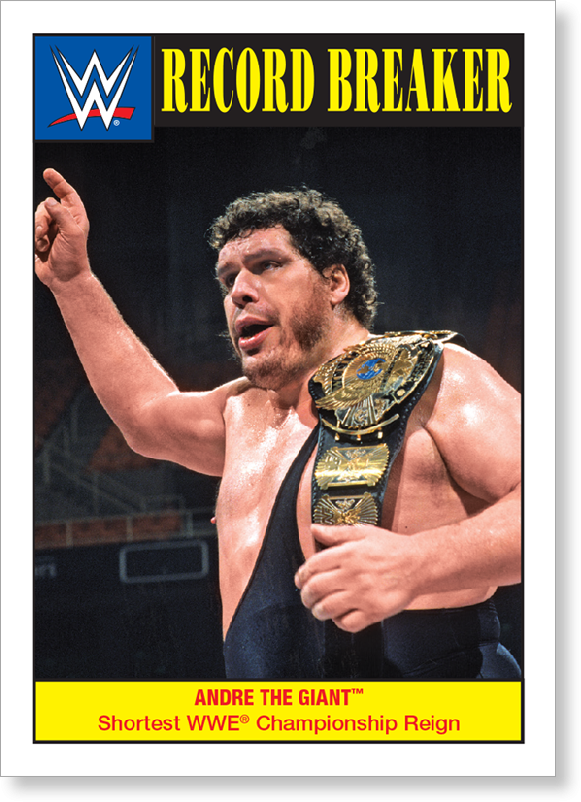 Download André The Giant - Full Size PNG Image - PNGkit