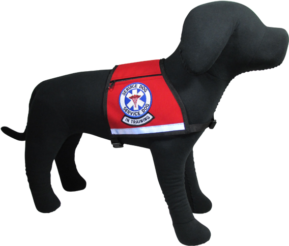 Download Service Dog, In Training Reflective Vest - Companion Dog ...