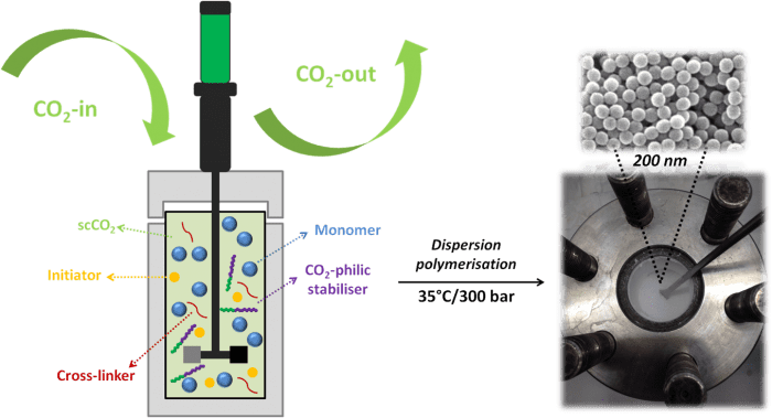 Download Synthesis Of Poly Networks Nanoparticles In Supercritical ...