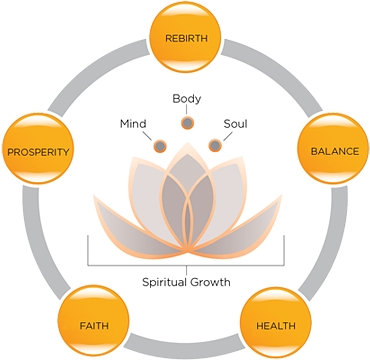 Lotus Flower Spiritual Meaning | Best Flower Site