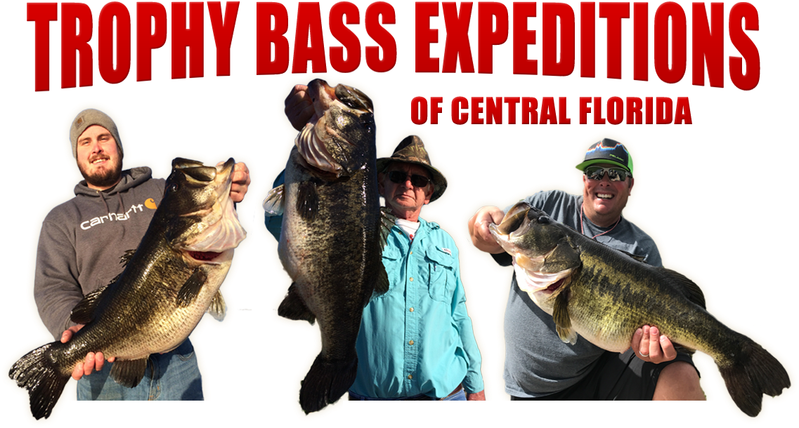 Download Rodman Reservoir - Full Size PNG Image - PNGkit