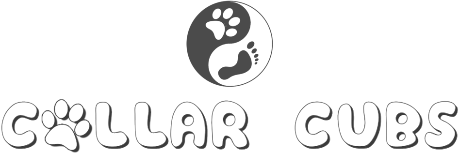 Download Both Logos - Full Size PNG Image - PNGkit