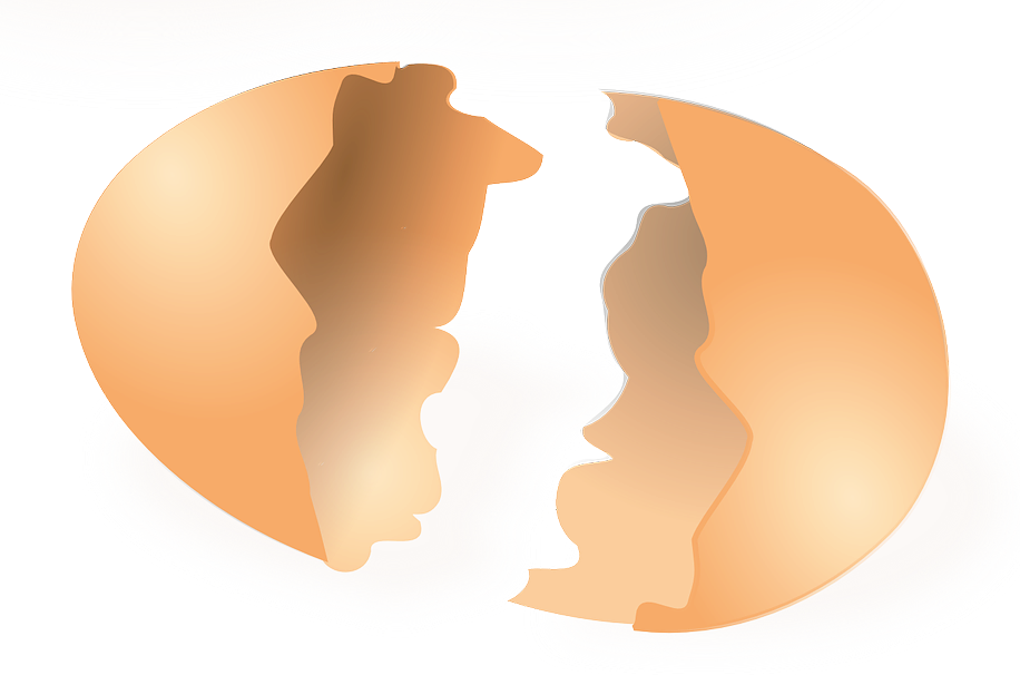 Download Broken Easter Egg Png Download - Egg Shell Clip Art - Full ...