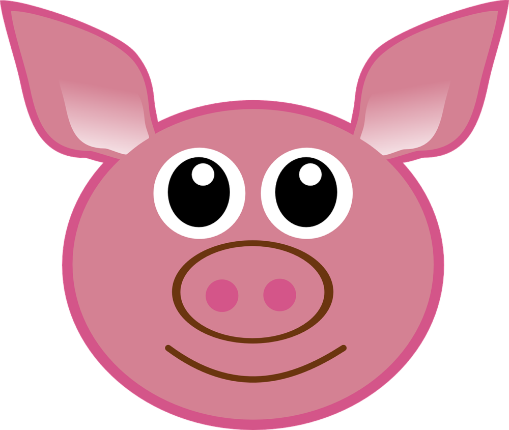 Download Peppa Pig Party - Pig Face Drawing - Full Size PNG Image - PNGkit
