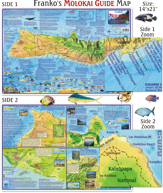Download Franko Maps Molokai Guide Map - Full Size PNG Image - PNGkit