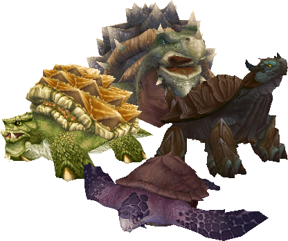 Download Wow Turtle Loa - Full Size PNG Image - PNGkit