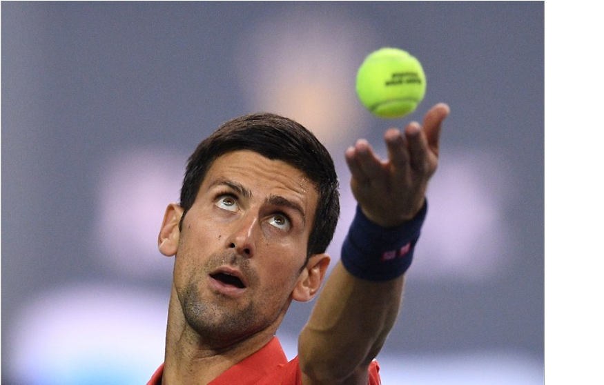 Download Novak Djokovic - Full Size PNG Image - PNGkit