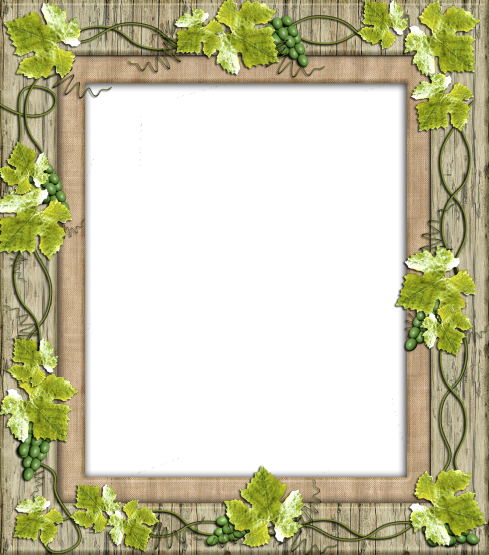 Download Go To Image - Nature Picture Frames Transparent Bg - Full Size ...