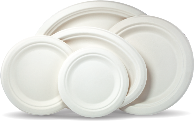 Download Plate - Full Size PNG Image - PNGkit