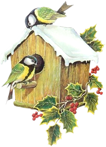 Download A Feedback Would Be Very Nice - Bird In House Winter Clipart ...