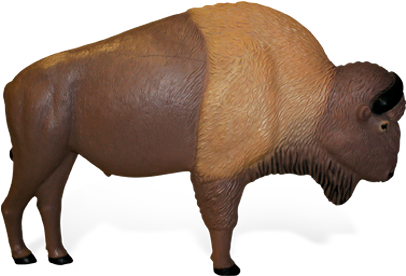 Download Buffalo - Rinehart Sasquatch Archery Targets - Full Size PNG ...