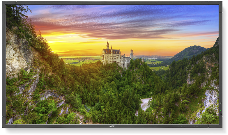 Download Dicom Large Format Displays - Nec Multisync X981uhd 2 - Full ...