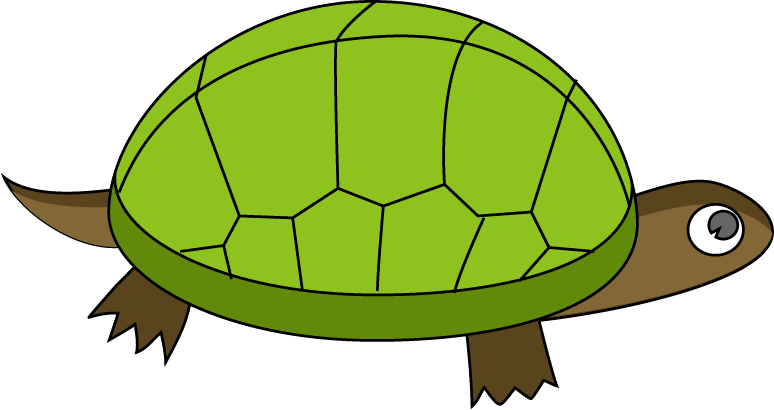 Download Tortoise Clipart - Clip Art - Full Size PNG Image - PNGkit