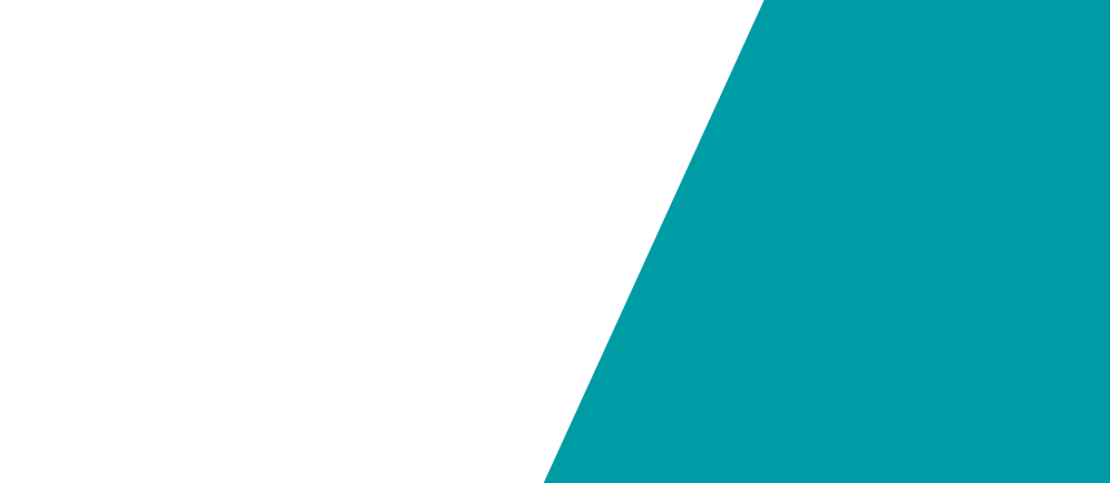 Download Transparent Decorative Angle - Safety Statement - PNGkit