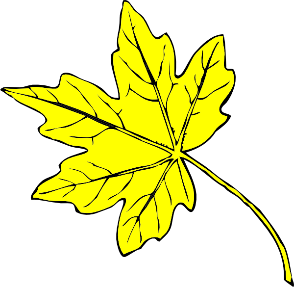 Download Fall Leaves Drawing Png - Full Size PNG Image - PNGkit