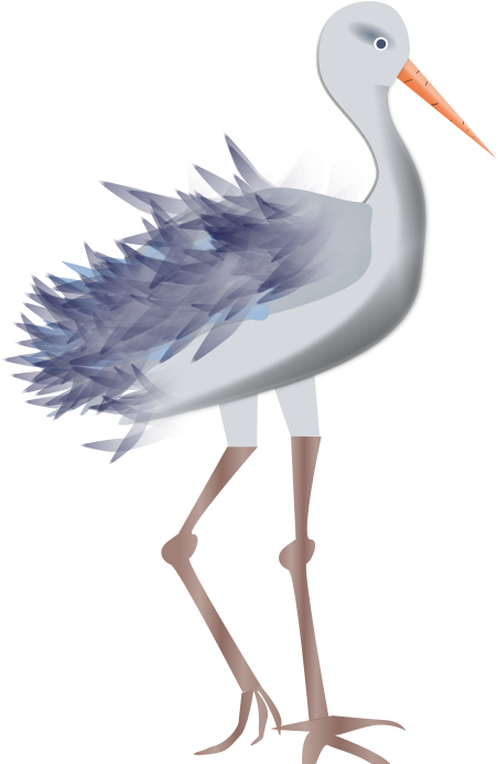 Download Bird - Bird Legs Clipart - Full Size PNG Image - PNGkit