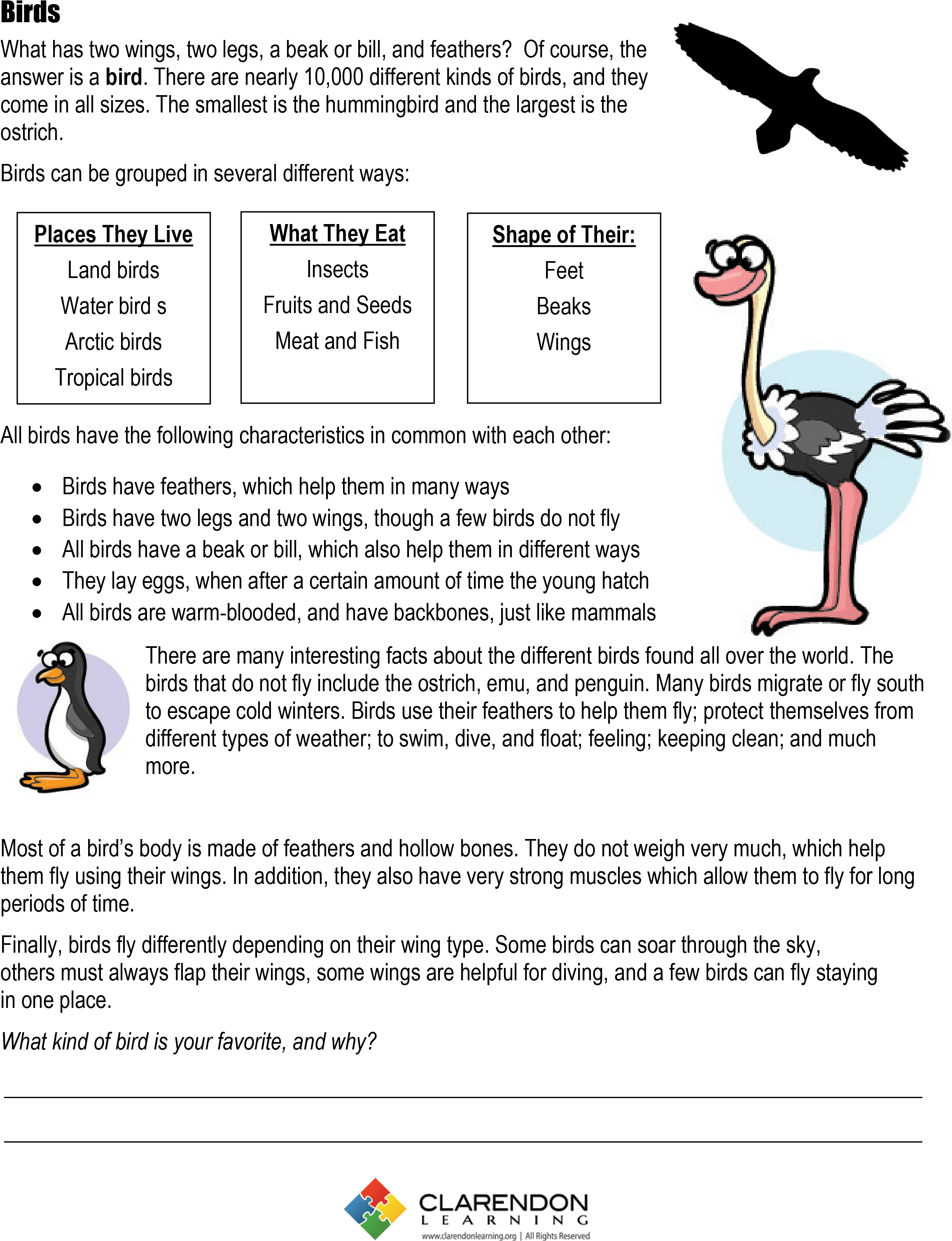 Download S-introduction To Birds - Common Characteristics Of Birds ...