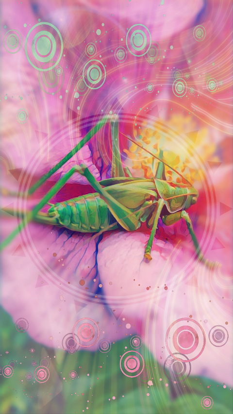 Download Flipp - Full Size PNG Image - PNGkit